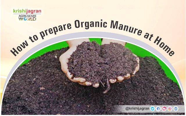 How to prepare Organic Manure at Home