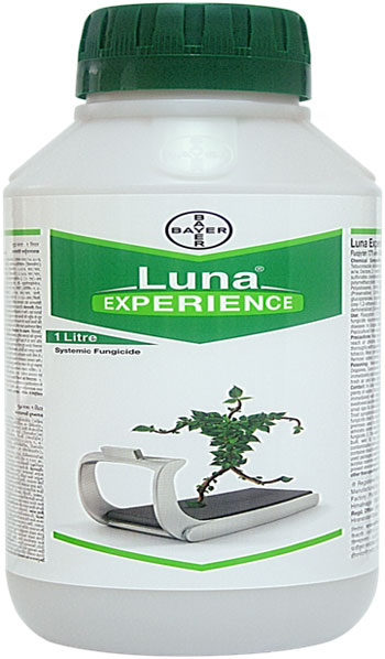 Bayer launches ‘Luna experience’ for Grape growers