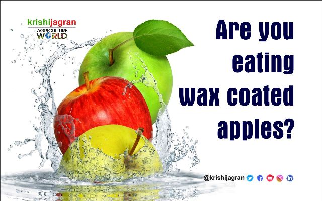 Be Careful before Eating Apples as they may be Wax Coated