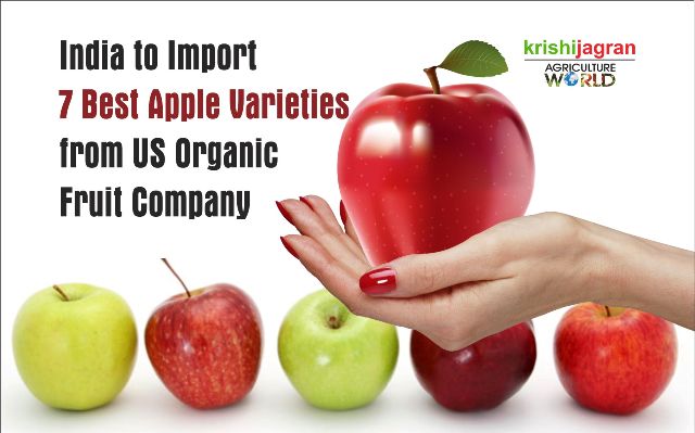 India to Import 7 Best Apple Varieties from US Organic Fruit Company