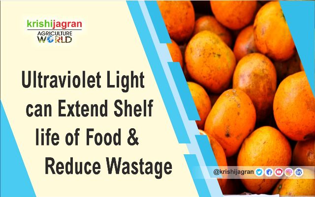 Ultraviolet Light can Extend Shelf life of Food & Reduce Wastage