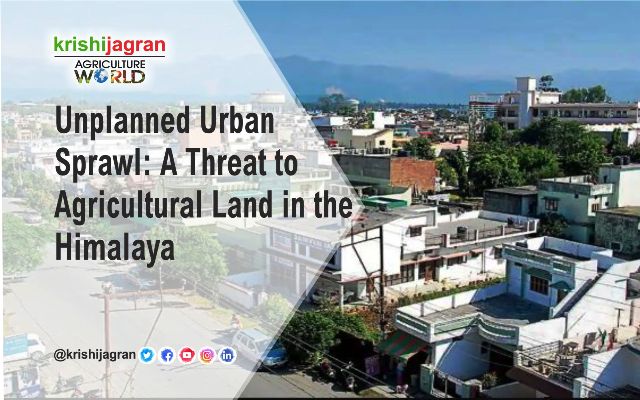 Unplanned Urban Sprawl: A Threat to Agricultural Land in the Himalaya