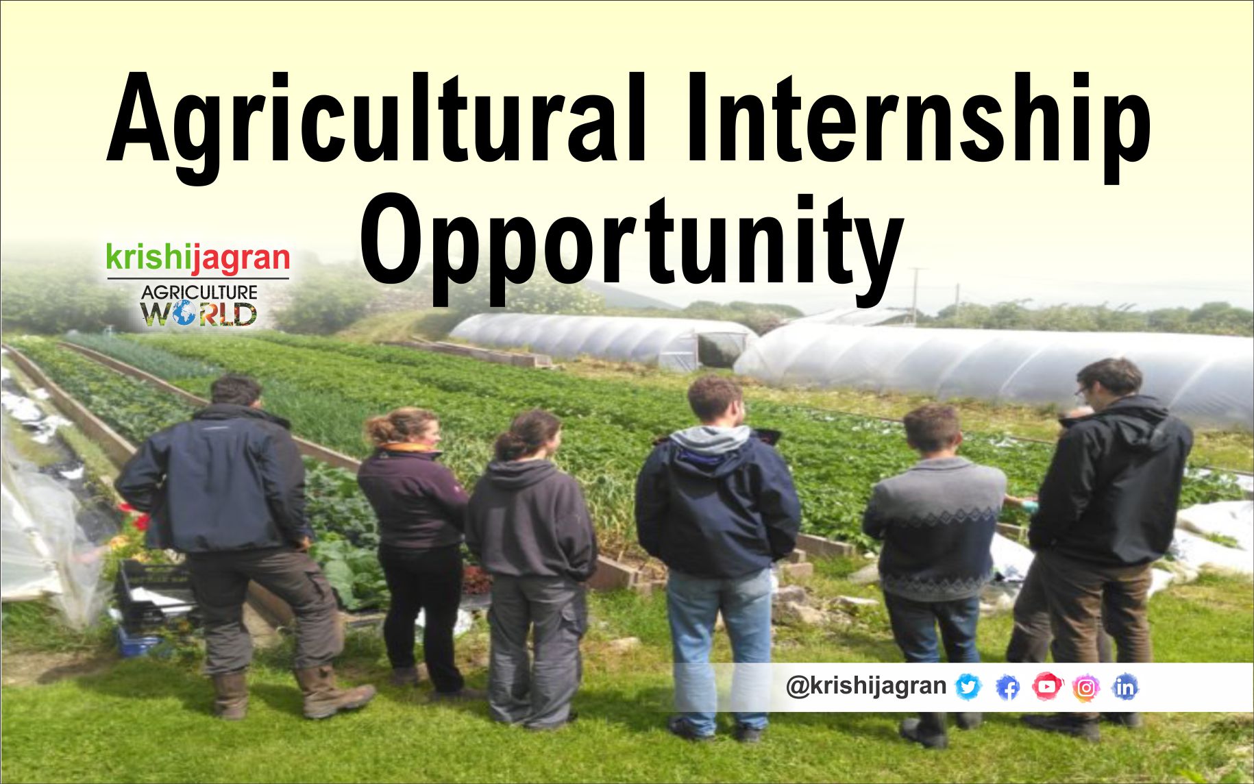 Agricultural Internship Opportunity at Organic Farms in Himachal