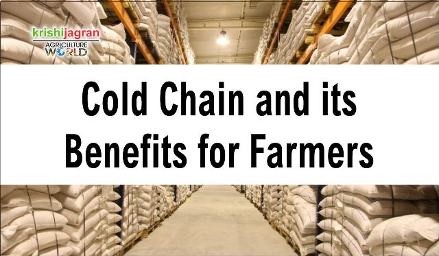 Better Food with Better Management – Cold Chain and its Benefits for ...