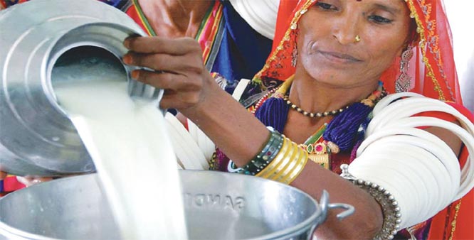 Govt. to increase milk production target by 2023-24
