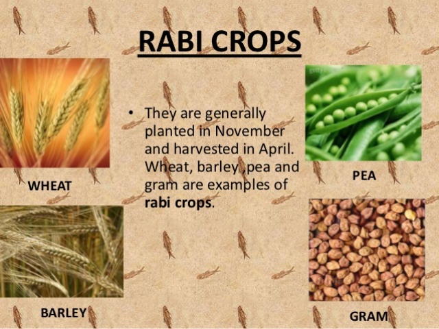 Decline in RABI CROP SOWING (2017-2018)