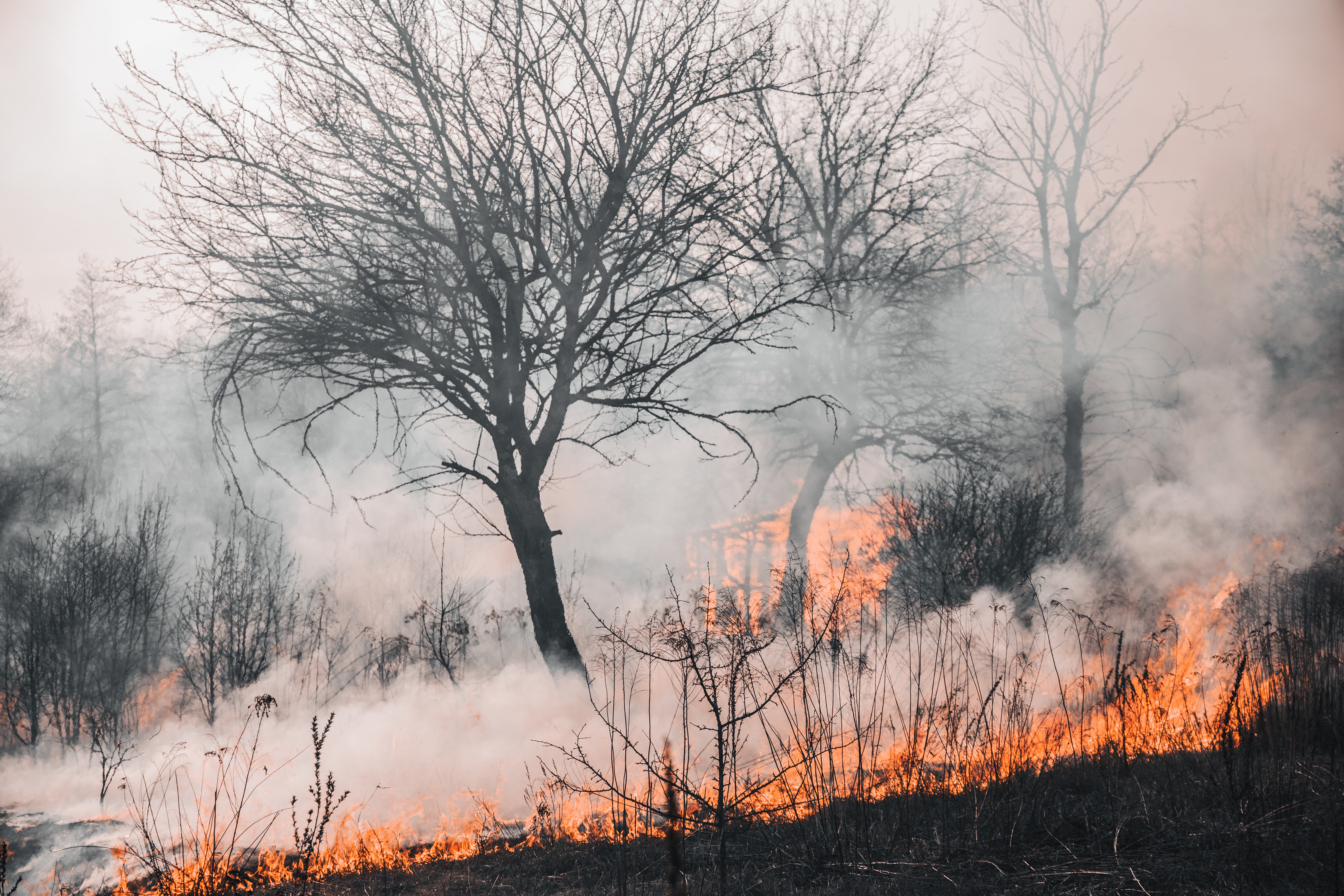 Understanding Bushfires and its Key Drivers