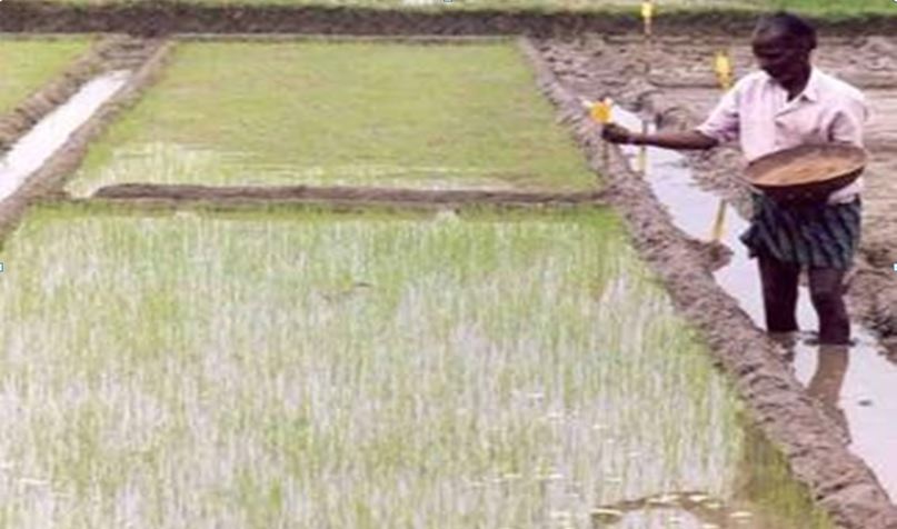 Weed Management in Rice