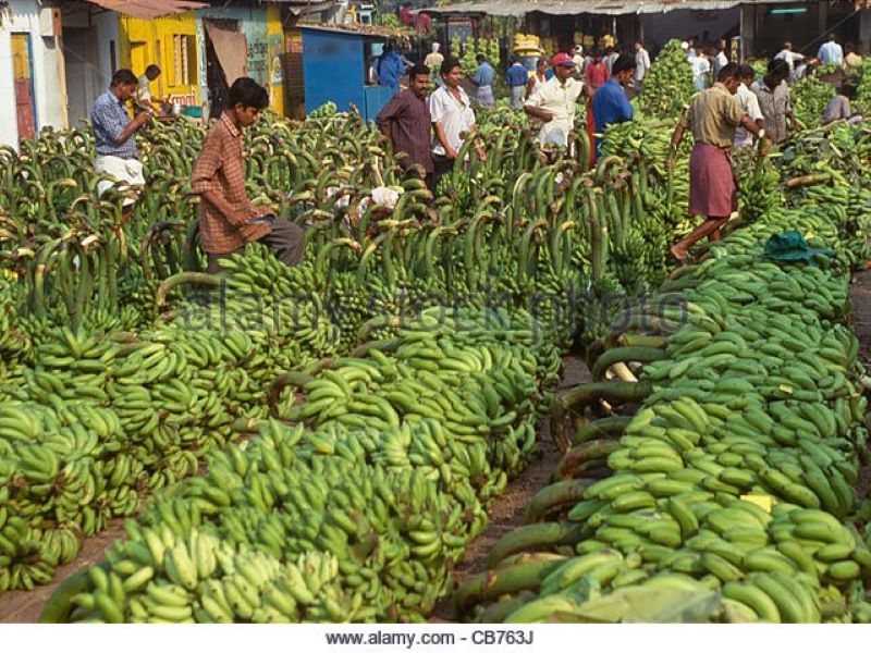 Assam: Home to Asia’s largest Banana Market
