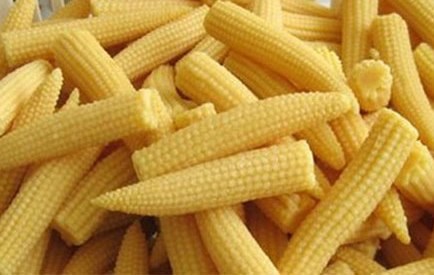 Baby corn for peri-urban agriculture