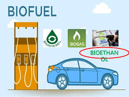 Vegetable Waste for the Bio Fuel