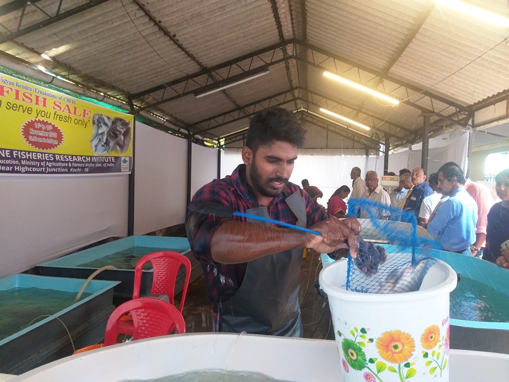 An Innovative Approach To Market Live Fish At Premium Price ...