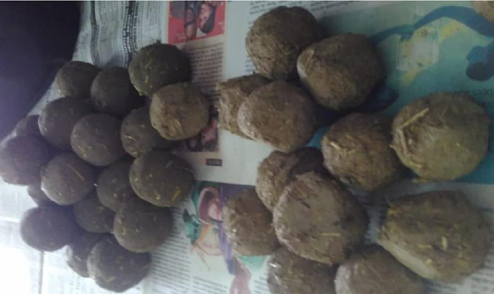 Mud Ball Urea Application in Rice