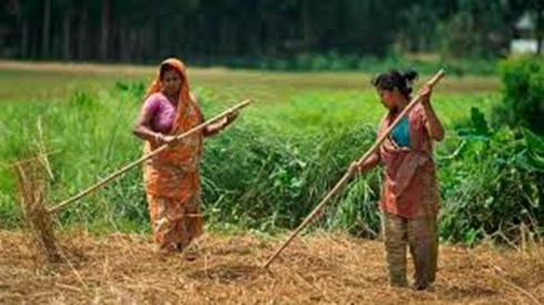 Traditional Agriculture to be Diversified in UP for Farmers Prosperity