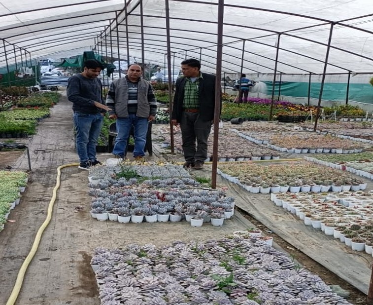 Bhimtal: The Succulent Plant Hub