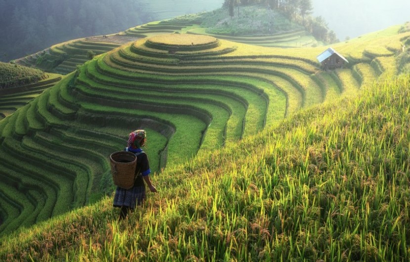 Sustainable Practices in Secondary Agriculture: Integrating Buddhist ...