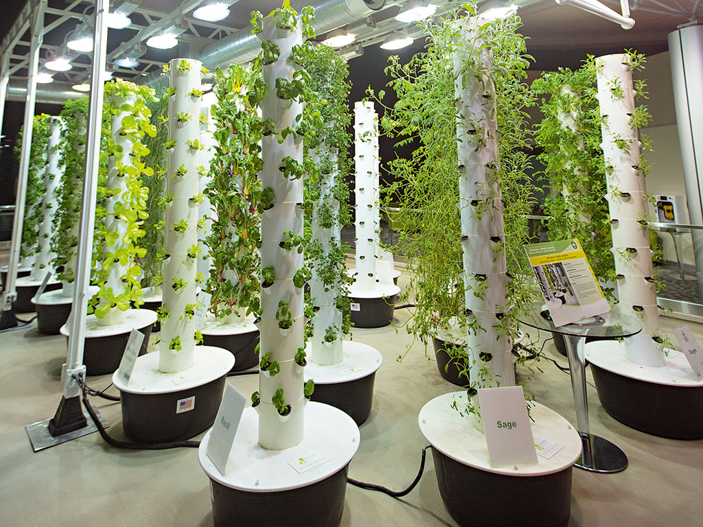 All About Vertical Farming Modern Agriculture All About Vertical Farming Modern Agriculture