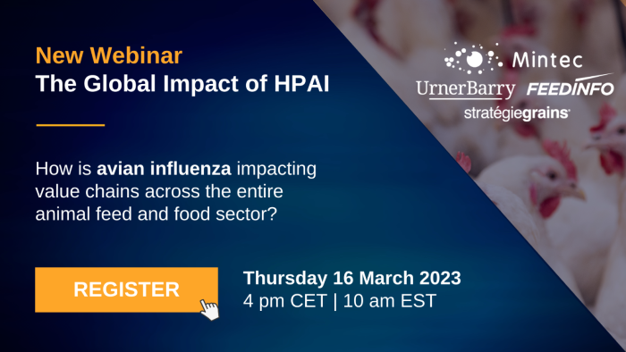 Global Impact of HPAI on Poultry Value Chains