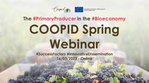 COOPID Spring Webinar