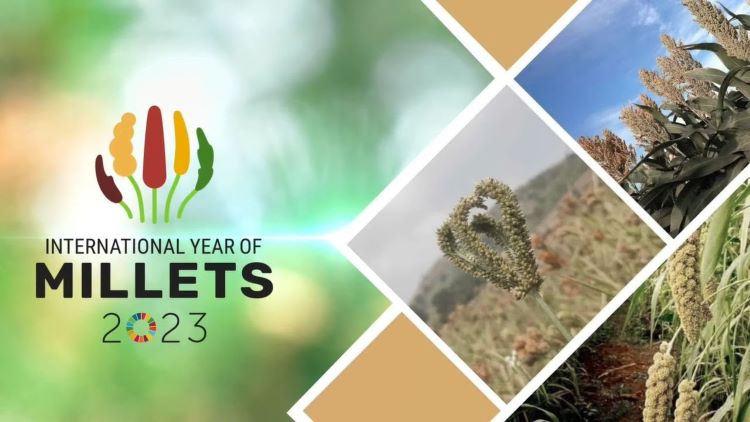 SreeAnna for People, Planet, Prosperity: Celebrating IYOM 2023